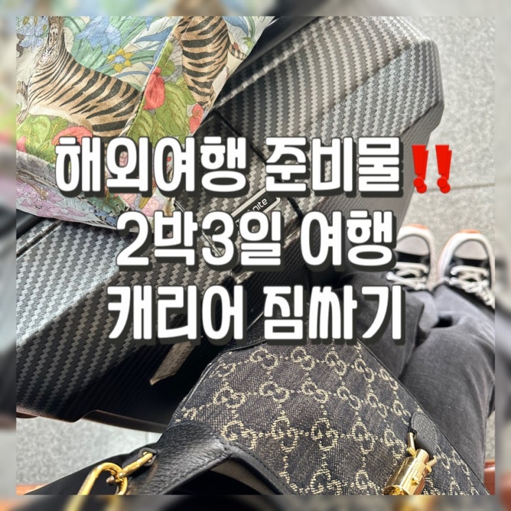 해외여행 준비물 리스트 기내 위탁 수화물 규정 체크해야 할 리스트 공유‼️28인치 캐리어 네이버 블로그