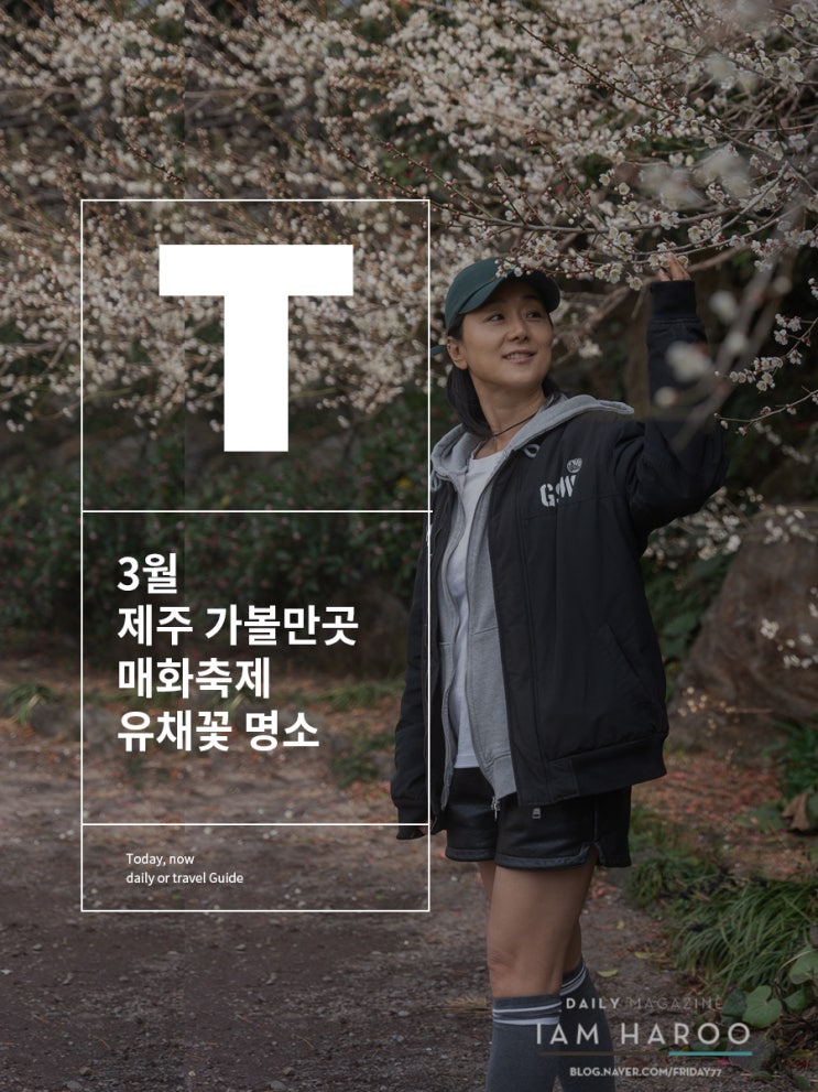 제주도 매화축제와 유채꽃 명소 품은 제주 휴애리 자연생활공원 네이버 블로그