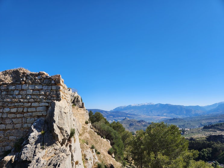 Febrero 27 ~ 28, Marzo 1 ~ 5 : 네이버 블로그