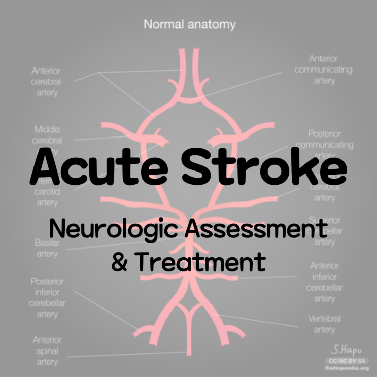 급성 허혈성 뇌졸중의 진단과 치료 Neurologic Assessment and Treatment of Acute ...