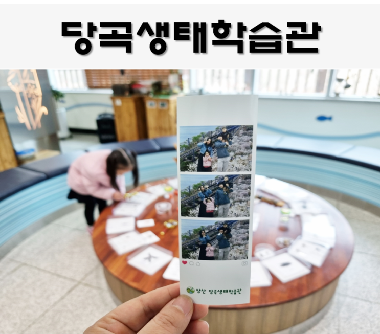 양산 원동 아이랑 가볼만한 곳 당곡생태학습관 네이버 블로그