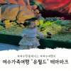 전남 여수아이와가볼만한곳 유월드 루지체험다이노 놀이공원까지 가족여행으로 완벽 네이버 블로그