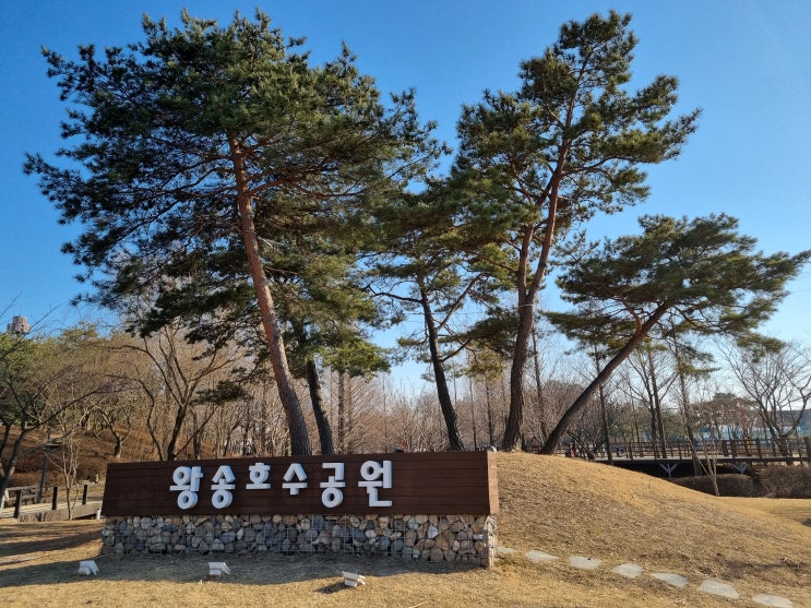 레솔레파크왕송호수공원 경기도 가볼 만한 곳 레일바이크 And 스카이 레일도 있는 공원 네이버 블로그