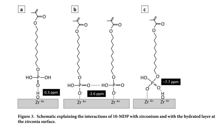 Z-Prime Plus, 지르코니아 프라이머 (Zirconia primer) : 네이버 블로그