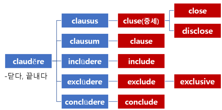 영어 close와 어원이 같은 단어 : disclose, clause, include, exclude, conclude ...