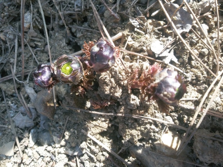 기다림 : 네이버 블로그