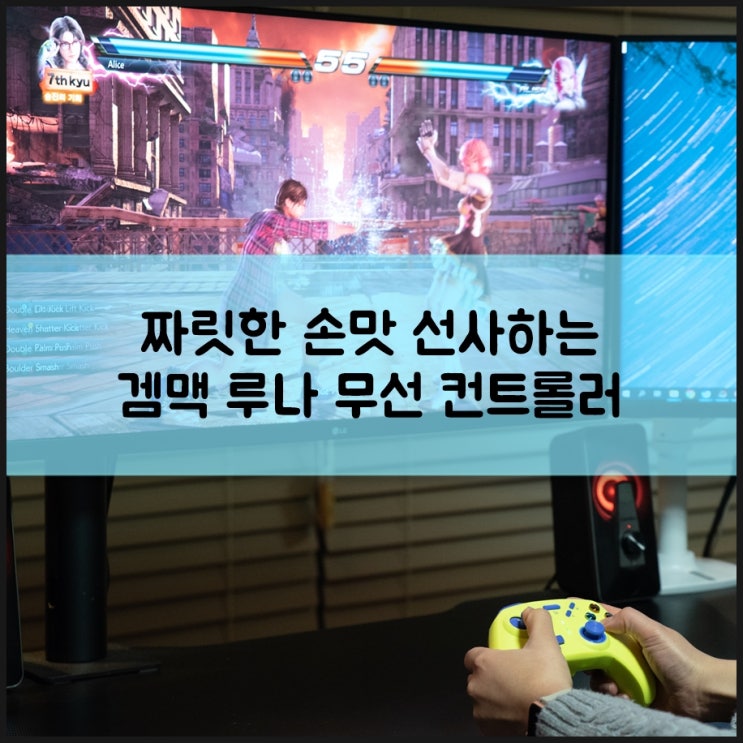 Pc 닌텐도 스위치 게임 겜맥 루나 무선 컨트롤러로 즐겨보니 네이버 블로그