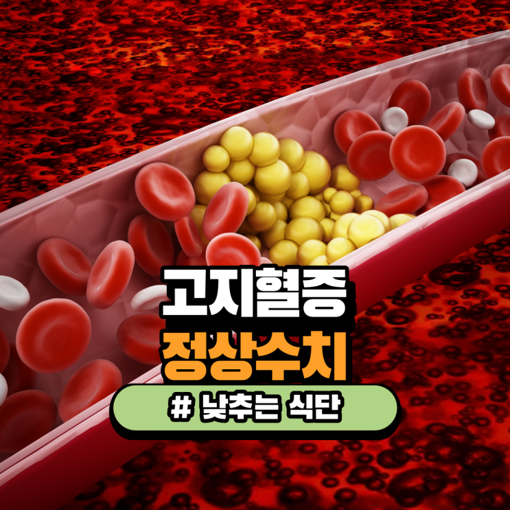이상지질혈증고지혈증 정상수치 투약 시기 낮추는 식단 네이버 블로그