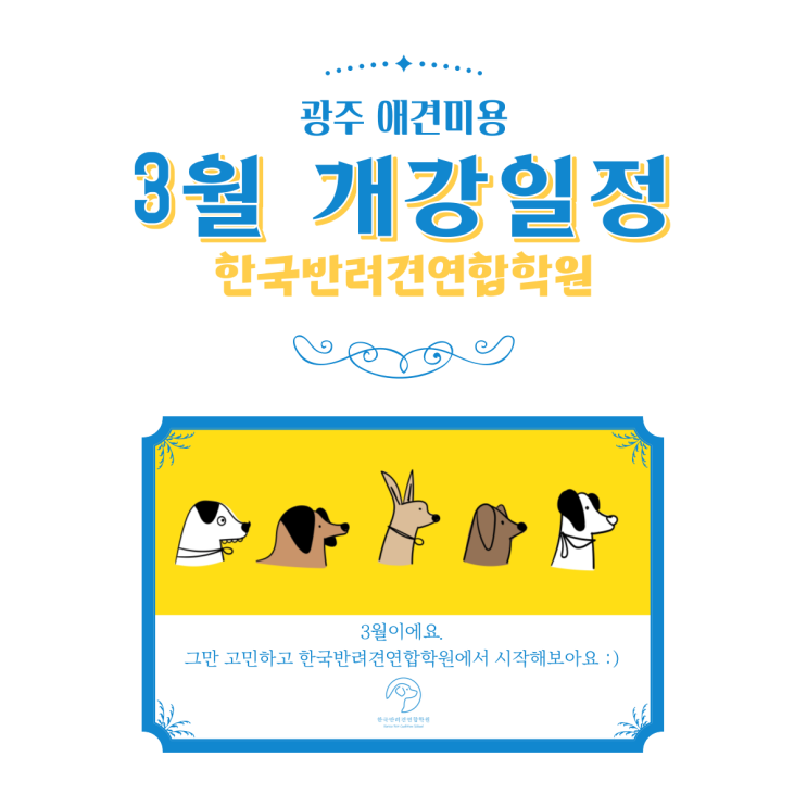 광주국비애견미용학원 한국반려견연합학원 에서 시작하세요 네이버 블로그
