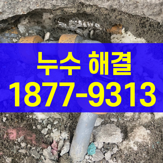 아파트 거실 바닥 누수 난방 매립배관 누수보험 적용 상담탐지 네이버 블로그