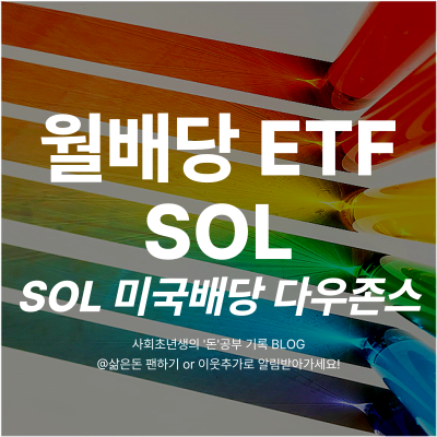 SOL 미국배당 다우존스, SCHD 월배당 ETF : 네이버 블로그
