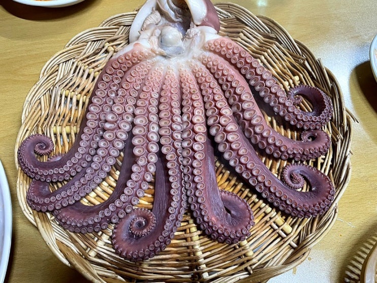 삼척 포차 이모카세, 백반기행에 나온 유명 맛집 ‘허구한날’ : 네이버 블로그