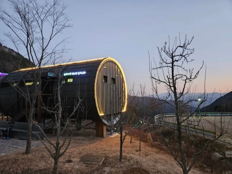 함양여행 함양자연휴양림 대봉캠핑랜드 아이랑 숙소 추천대나무둥지 4호 네이버 블로그