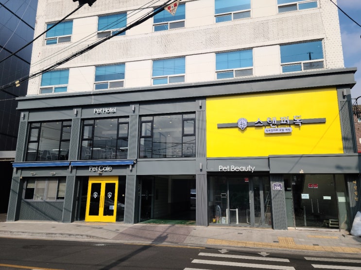쌍문동 한일병원 근처 애견카페 스탠퍼독 강아지 산책 경험 네이버 블로그