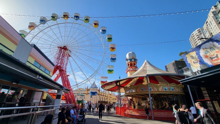 시드니 여행) 포토스팟 추천! Milsons Point, Broughton Street Lookout, 루나 파크(Luna ...