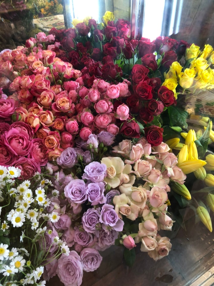 분당 꽃집서현역 꽃집 꽃피네집 오늘 들어온 예쁜 생화 덕분에 매장은 꽃향기 가득🌼 네이버 블로그