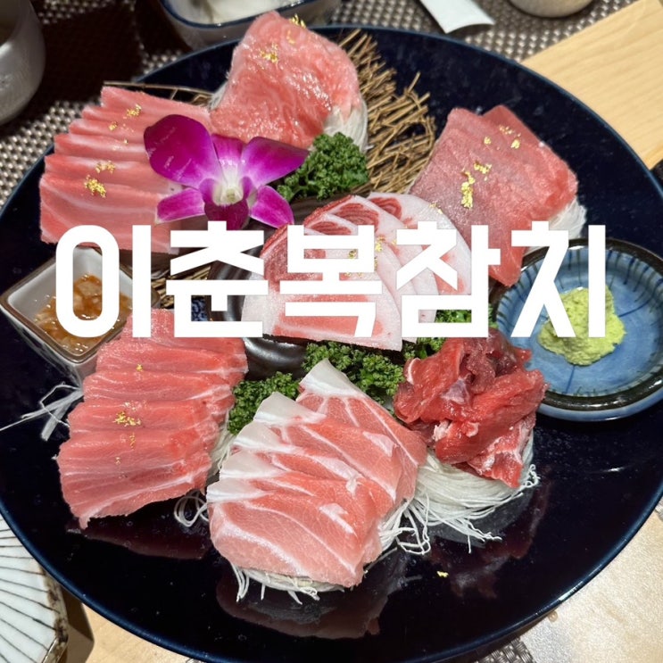 서울 고속터미널 맛집 I 이춘복참치 일품참치 무한리필 7판 내돈내산 후기 네이버 블로그
