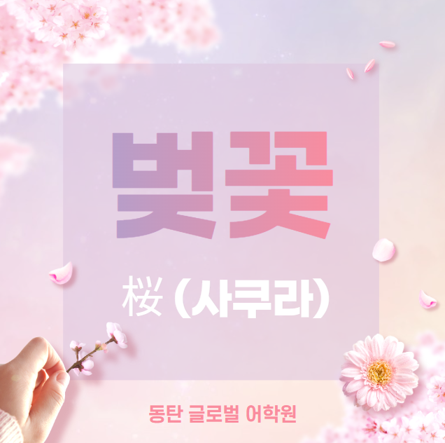 동탄성인일본어 벚꽃보러 일본여행 가는 건 어때 일본어 회화 같이 공부해요 동탄 2동탄 세마 세교 오산 병점 망포