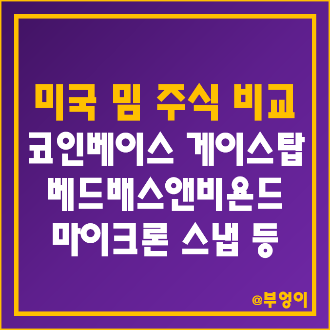 미국 밈 주식 비교 코인베이스 Coin Amc 게임스탑 베드배스앤비욘드 마이크론 스냅 로블록스 Meme 기업 주가 배당금