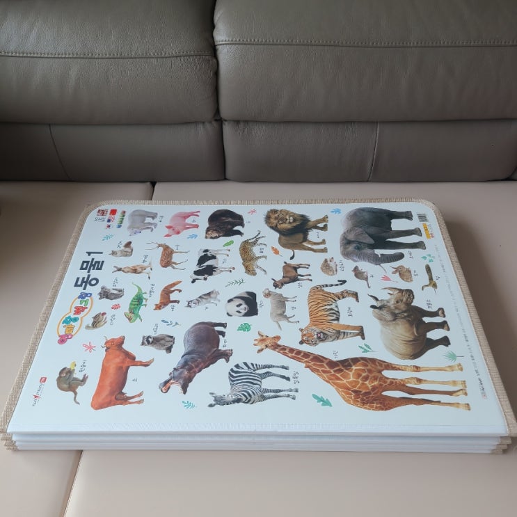 내돈내산 육아추천템 엄마랑 벽그림 병풍 플러스 And 세이펜 사용 시기 사용법 네이버 블로그