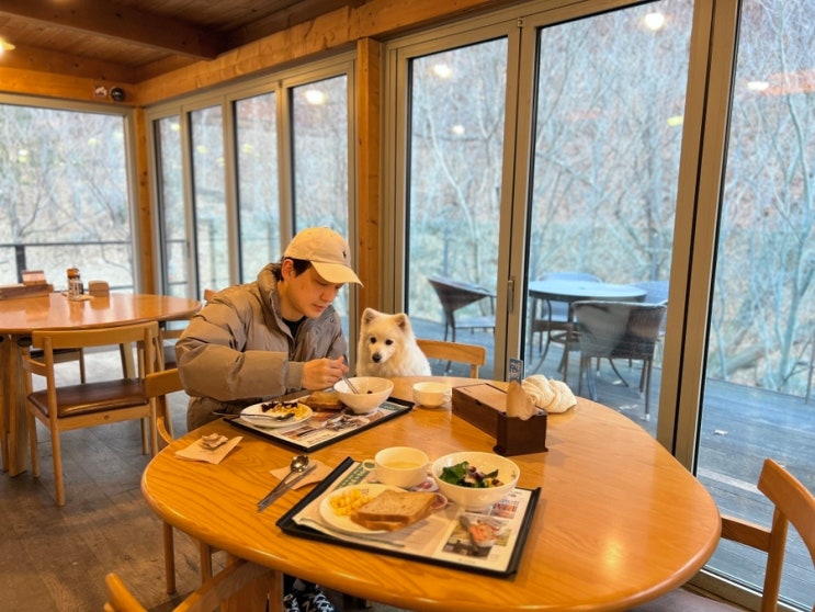 강원도홍천리조트 힐리언스 선마을 애견동반식사 방법 스파 네이버 블로그