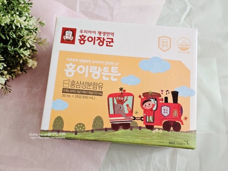 정관장 홍이장군 유아홍삼 어린이면역력 필수품 네이버 블로그