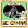 코뼈 골절 코뼈가 부러졌어요 Feat 비골골절 수술 비관헐적 정복술 네이버 블로그