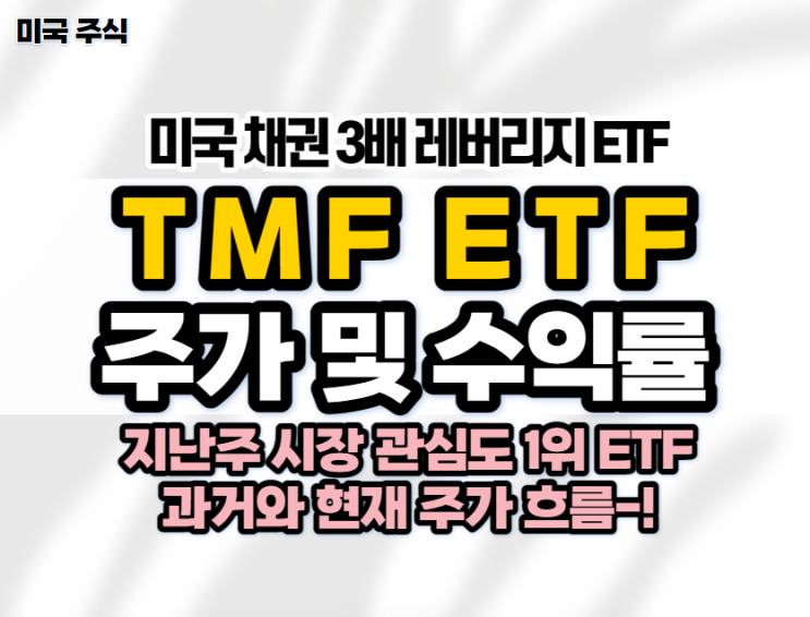 TMF ETF 미국 채권 ETF TMF 주가 투자 : 네이버 블로그