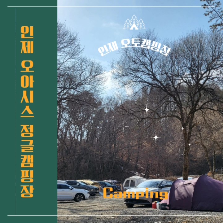 강원도 인제 캠핑장 오아시스 정글 오토캠핑장 추천 네이버 블로그
