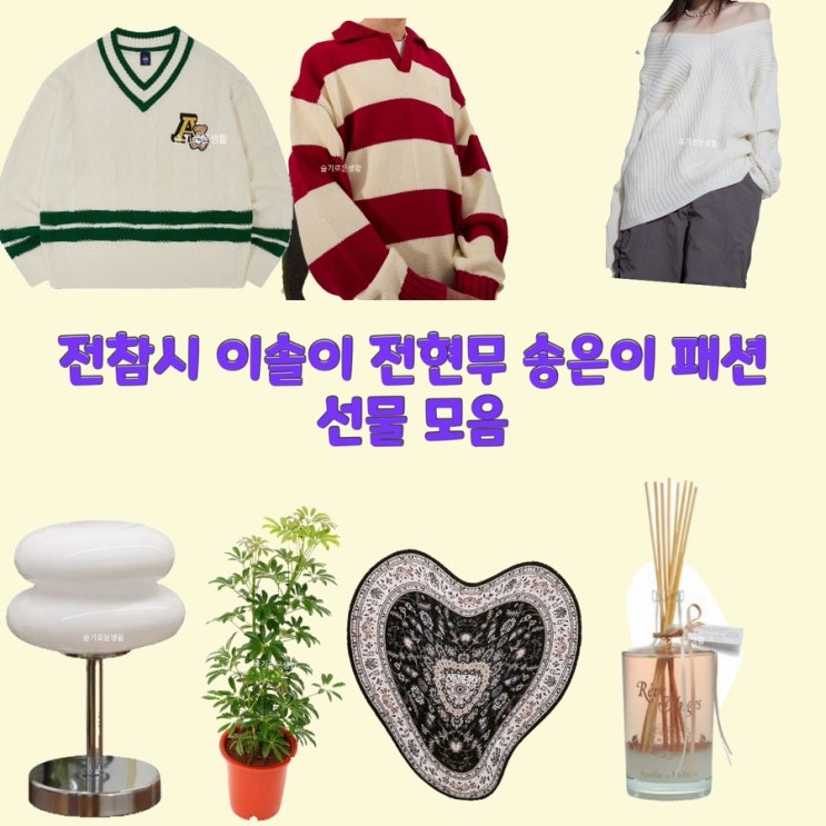 이솔이 전현무 송은이 전지적참견시점237회 니트 이영자 양세형 선물 디퓨저 러그 카페트 조명 화분 옷 패션 네이버 블로그