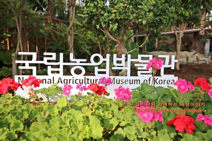 경기도 놀러 갈만한곳 수원 여행 어린이 체험 국립농업박물관 볼거리 어린이 박물관 놀거리 네이버 블로그