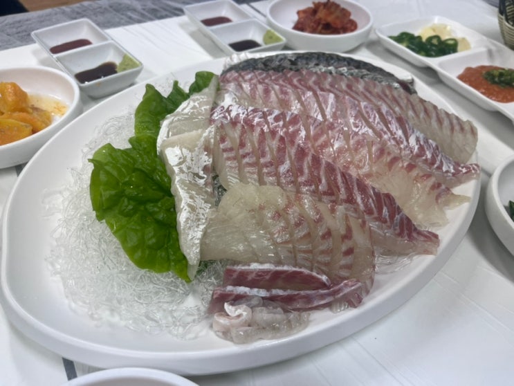 제주 횟집 추천 가성비 퀄리티 모두 좋은 위미항활어회센터 네이버 블로그