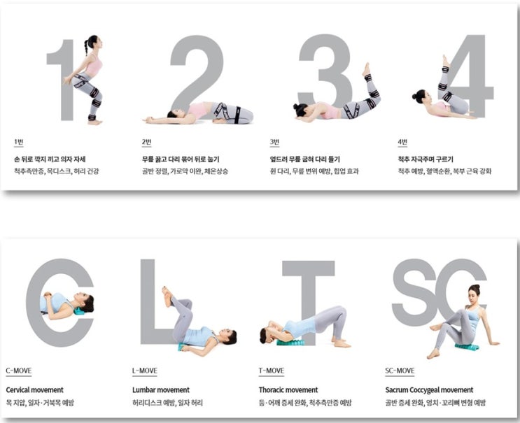 마곡나루운동/다이어트는 SNPE바른자세 척추운동으로 : 네이버 블로그