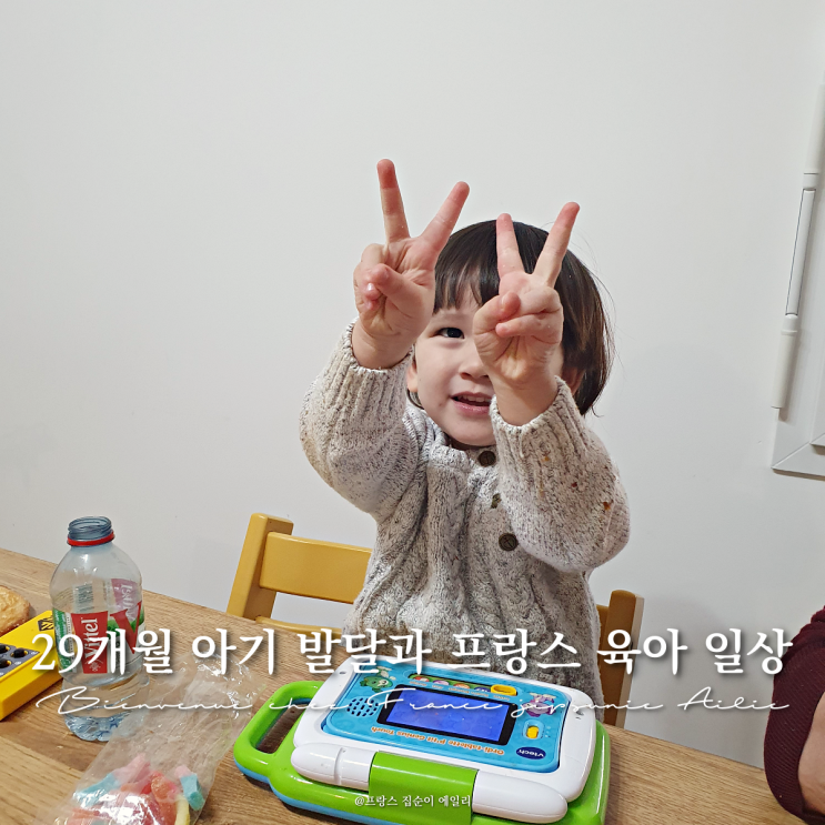 프랑스 육아일기 29개월 아기 발달 언어 발달 입덧중 첫째 가정보육 남편 찬스 네이버 블로그