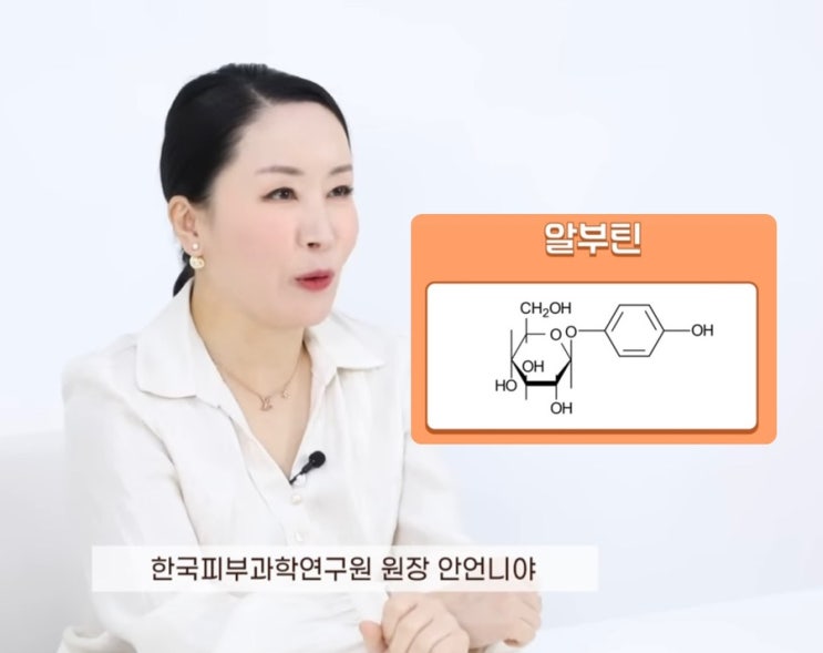한국 피부과학 연구원 안언니가 알려주는 미백화장품 안전하게 사용하기 미백성분 알부틴 하이드로퀴논 네이버 블로그