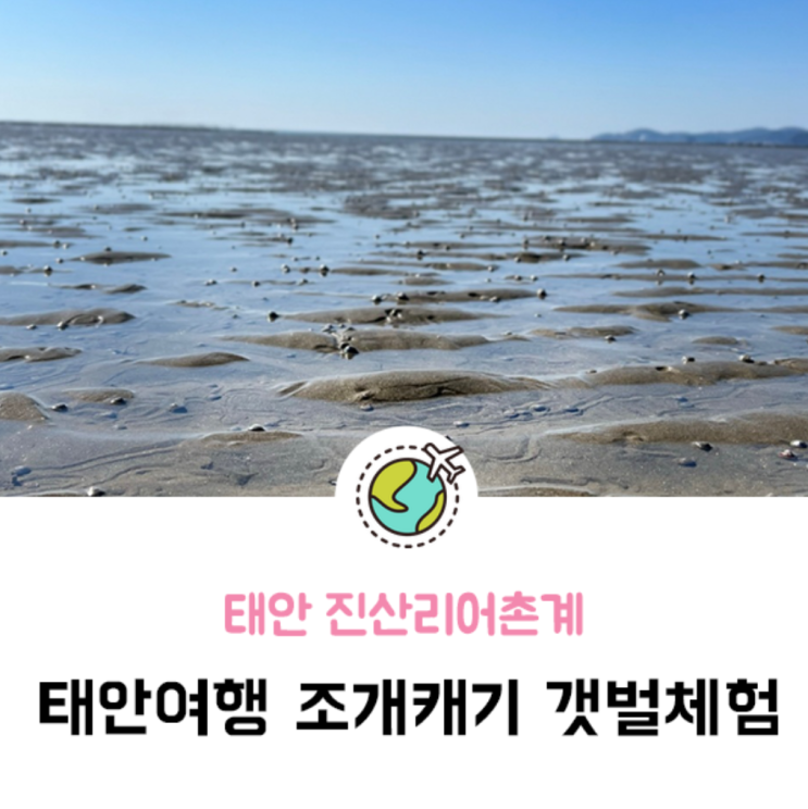 충남여행 태안 조개잡기체험 갯벌체험 가능한 진산리어촌계 몽산포 맛집 바다횟집 네이버 블로그