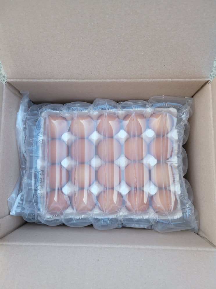 올팜 왔다왔다 계란 왔다 계란 수확기 네이버 블로그