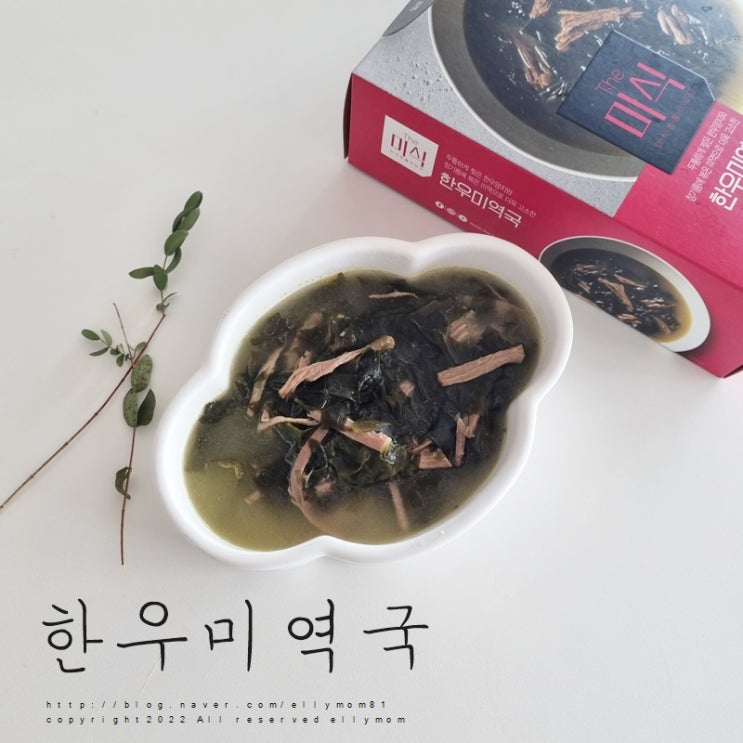 더미식 한우미역국 양지육개장 국물요리 맛있는 저녁메뉴 네이버 블로그