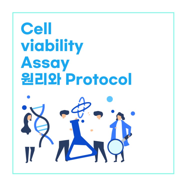 Cell viability Assay 원리와 Protocol 엑셀 작성법 포함 : 네이버 블로그