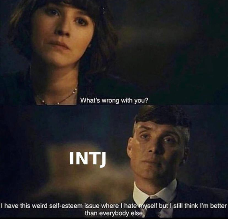 Intj 특징 팩폭 여자 남자 직업 성격 연애 궁합 연예인 솔직한 과몰입 네이버 블로그