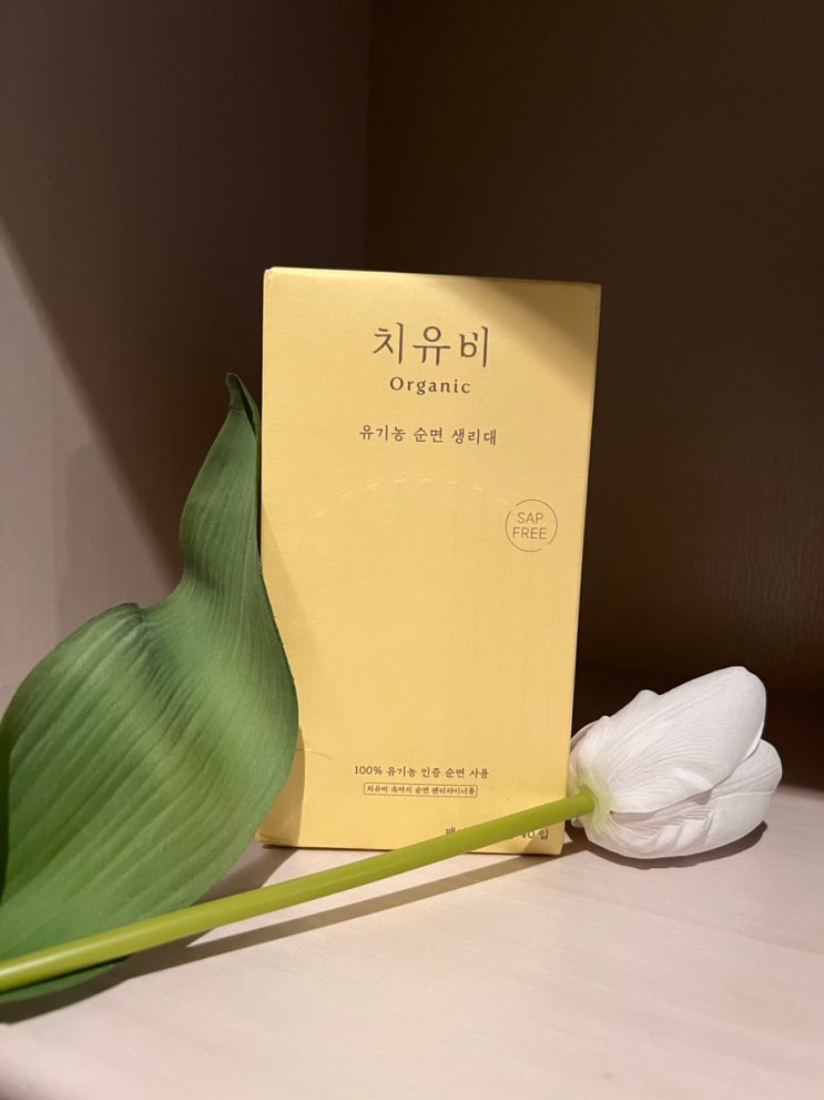 내가 사용하는 여성용품이니까 유기농 순면 생리대 치유비 속까지 순면 생리대 팬티라이너 롱 추천 ️ 네이버 블로그