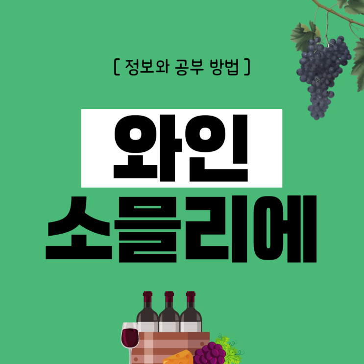 와인소믈리에 자격증 정보와 공부 방법 네이버 블로그