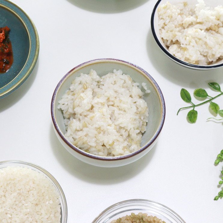 밥뭐먹지 백미밥 현미밥 쌀창고 5kg 맛있는 집밥(쌀보관법) : 네이버 블로그