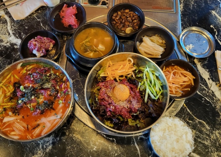 동해 먹거리 열이네식육식당 본점에서 맛보는 육회비빔밥 육회 물회초밥 신선해 네이버 블로그