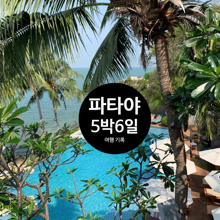 [202302 파타야 여행 Day 1] 여행 하루 전 날 생긴일: 8살 고관절활액막염/ 박군투어/ 파타야 케이프다라 리조트 ...