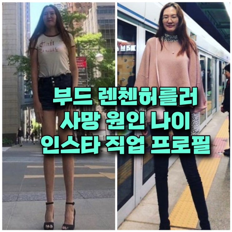 한국 거주 가장 키 큰 몽골 여자 부드 렌첸허를러 사망 원인 나이 인스타 프로필 근황 사인 키 210cm 205cm : 네이버 블로그