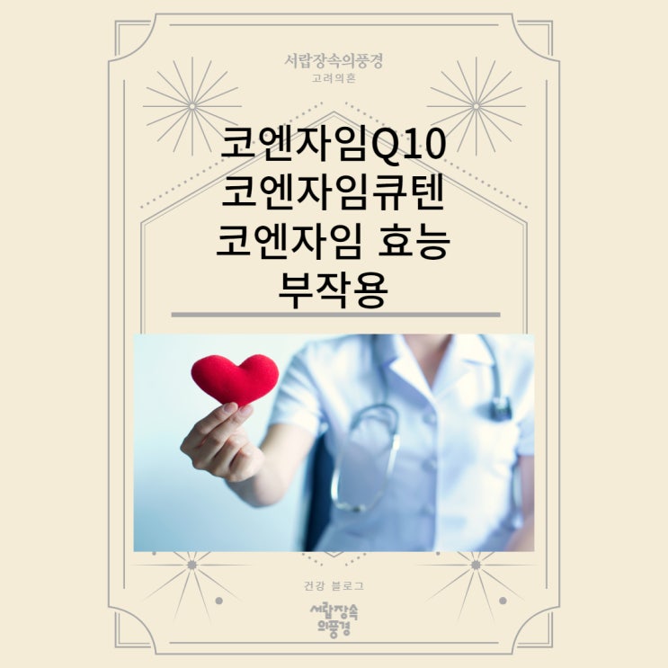 코엔자임q10 코엔자임큐텐 코큐텐 코엔자임 유비퀴논 효능 부작용 콜레스테롤 혈당 심장 네이버 블로그