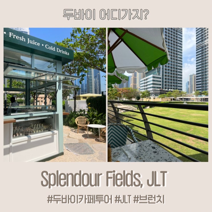 두바이 카페 | 평온한 브런치 맛집 Splendour fields @JLT : 네이버 블로그