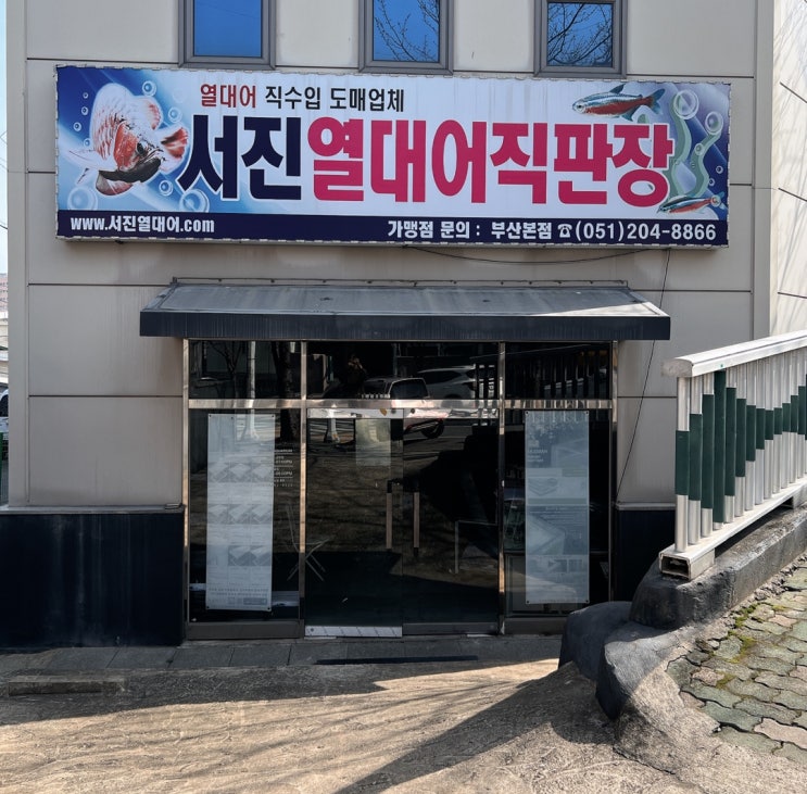 [수족관탐방] 부산 - 서진 열대어 직판장 : 네이버 블로그