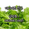 다이어트 친구 양상추 어디까지 아니 영양 손질 보관방법 칼로리 샐러드먹을때 조심할 점 네이버 블로그